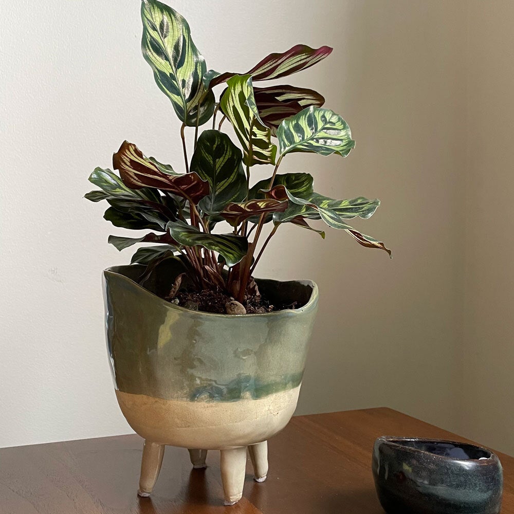 Planter | Secrets of the Kiln